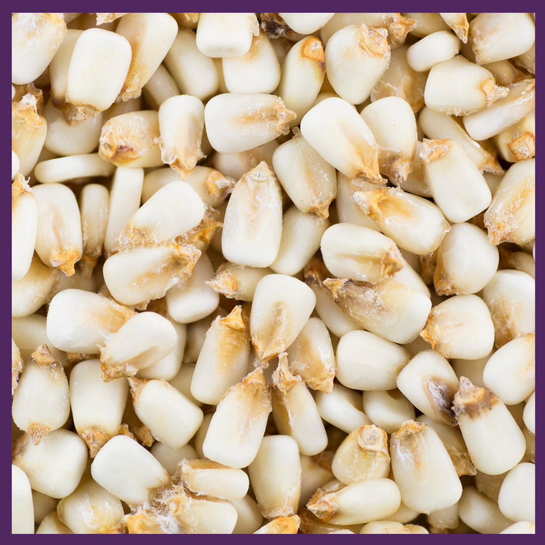 DRIED HOMINY CORN GRAINS "AMÉRICA" 500G - El Merkadito. | El Merkadito